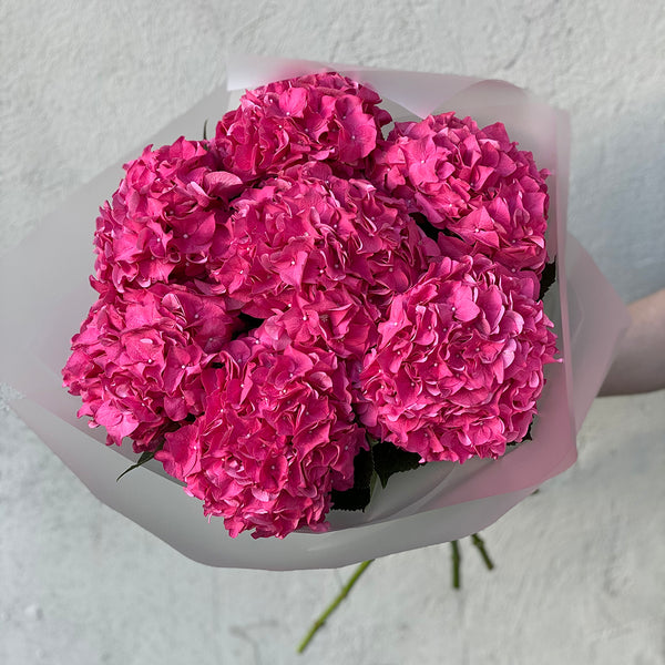 Dark Pink Hydrangea– DuFlorals